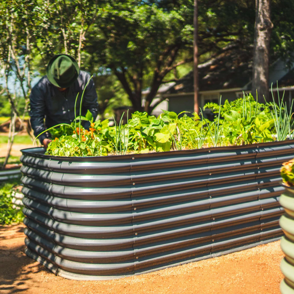 Raised Beds - Grower's Solution