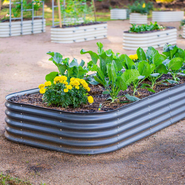 Vego Garden 10 in 1 Modular Metal Raised Bed - Grower's Solution