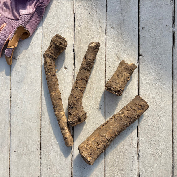 Bare Root Plants - Grower's Solution