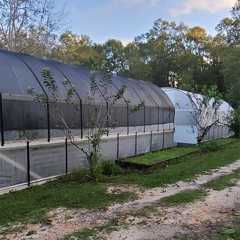 Living Traditions Homestead - Grower's Solution