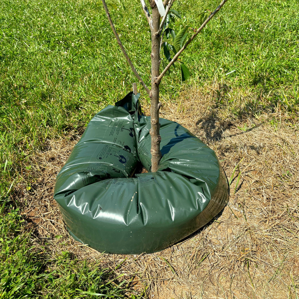 Ooze Tube 45 Gallon Drip Irrigation Tree Bags - Case of 15 - Grower's ...